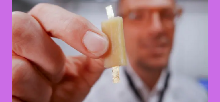 Eat Your Battery! World's 1st Edible Battery Created By These ...