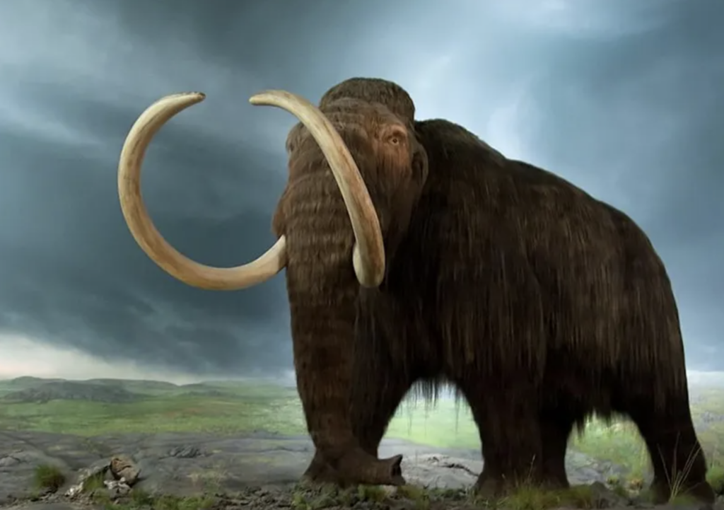 Startup Raises Rs 3500 Crore To Bring Back Extinct Animals - Trak.in ...