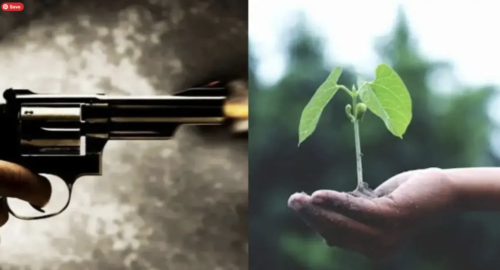 Plant A Tree For Getting Gun License In This UP City - Trak.in - Indian ...
